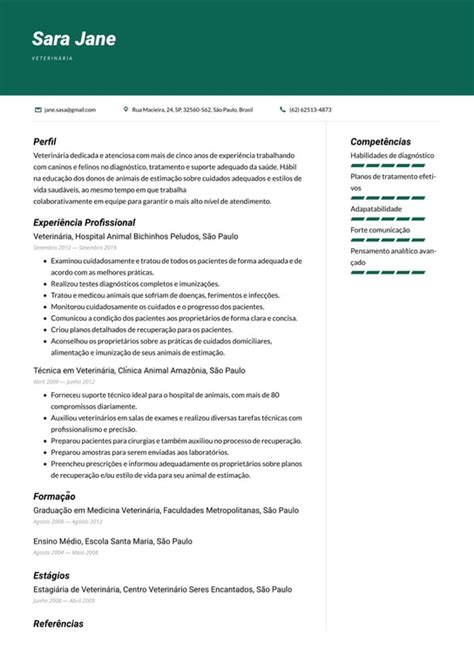 Modelo De Curriculo Professora