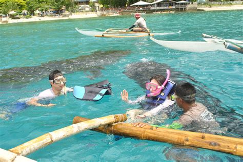보홀데이투어 대신 다녀온 세부 오슬롭 고래상어투어 세부시티투어세부골프여행세부고래상어투어세부마지막날세부골프투어세부