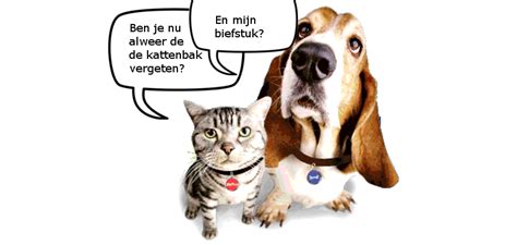 Mens Verschoon Die Kattenbak Eens Over 10 Jaar Praten We Met Onze