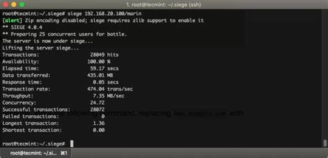 Load Testing Web Servers With Siege Benchmarking Tool