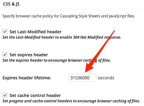 Use W Total Cache To Enable WordPress Browser Caching
