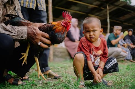 Red Topographical Background Photos Download The Best Free Red