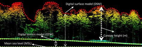 Example Of Cross Section Through LiDAR Point Cloud Download Scientific Diagram