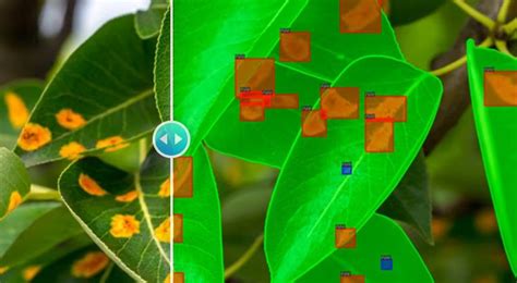 How To Use Image Annotation For Surface Defect Detection Keymakr