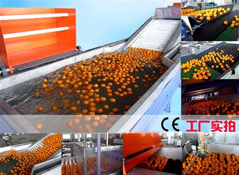 automatic sorting conveyor tomato sorting grading potato sorting machine buy automatic sorting