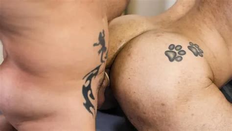 Rego Bello Gay Porn Videos 2024 Porn Star Sex Scenes Xhamster