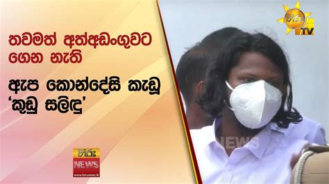 තවමත් අත්අඩංගුවට ගෙන නැති ඇප කොන්දේසි කැඩූ කුඩු සලිඳු Hiru News Youtube