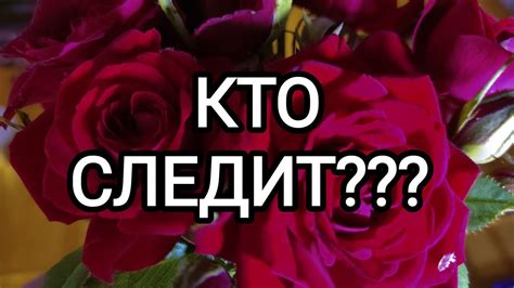 🍀Таро расклад🍀 КТО СЛЕДИТ ЗА ВАМИ Youtube