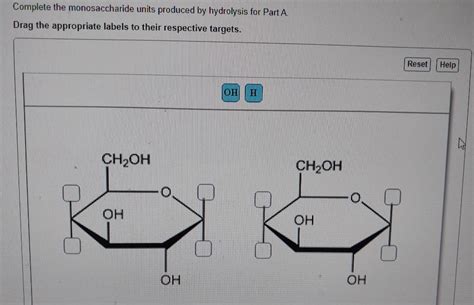 Complete The Monosaccharide Units Produced By