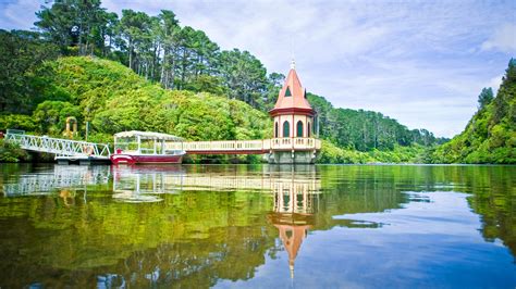 Zealandia Wildlife Sanctuary Great Journeys Nz Official
