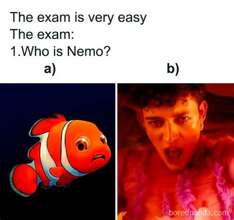 30 Memes And Jokes To Celebrate The Eurovision Song Contest Of 2024
