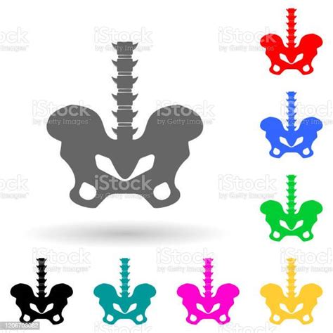 힙본 멀티 컬러 스타일 아이콘입니다 Ui 및 Ux 웹 사이트 또는 모바일 응용 프로그램에 대한 간단한 문양 인간의 부품 아이콘의 평면 벡터 볼기뼈에 대한 스톡 벡터 아트 및