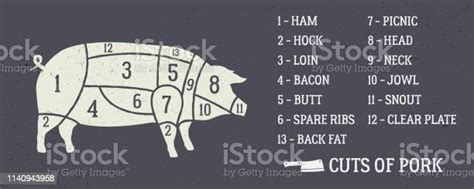 고기 다이어그램 돼지고기의 상처 어두운 배경에 고립 된 돼지 실루엣 정육점에 대 한 빈티지 포스터입니다 그런 지 질감입니다 벡터 일러스트 돼지고기에 대한 스톡 벡터 아트 및