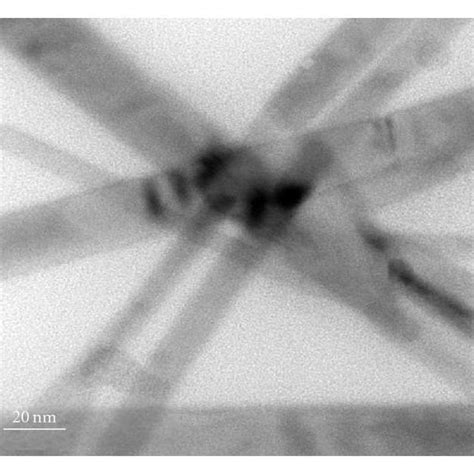 A Transmission Electron Microscope And B Selected Area Electron Download Scientific Diagram