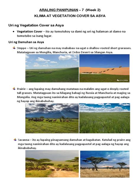 Week 2 3 Quarter 1 Pdf