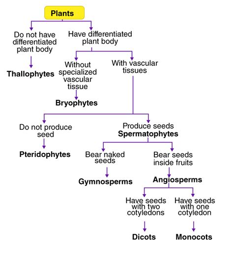 Lakhmir Singh Biology Class 9 Solutions For Chapter 4 Diversity In