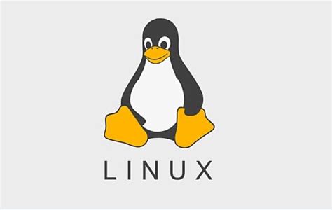 Linux Ethicalhacking Cybersecurity Infosec Learnlinux Opensource