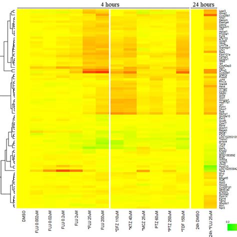 Hierarchical Clustering Of Gene Expression In Rat Embryos Exposed To Download Scientific