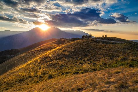 On The Wild Path Behance