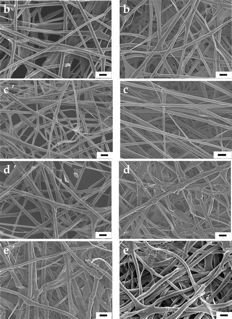 Figure 1 From Environmentally Friendly Gelatinβ Cyclodextrin Composite Fiber Adsorbents For The