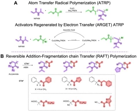 Synthetic Schemes For Atrp And Raft Polymerization Of Acrylamide