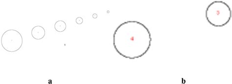 a calibration standard with six different circles of known dimensions