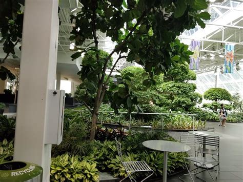 Devonian Gardens Calgary All You Need To Know Before You Go Updated 2020 Calgary Alberta