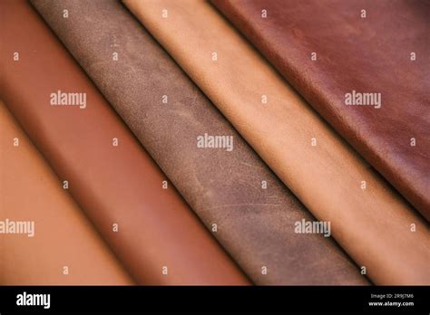 An Array Of Leather Fabric Samples In Different Shades Neatly Placed On
