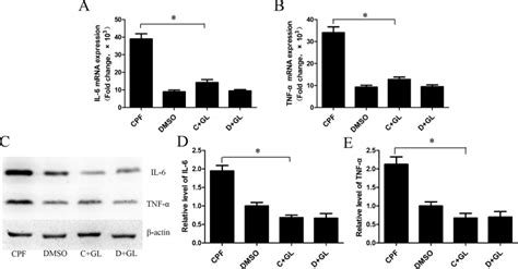 Hmgb1 Inhibitor Glycyrrhizin Reduces Neuroinflammatory Response To