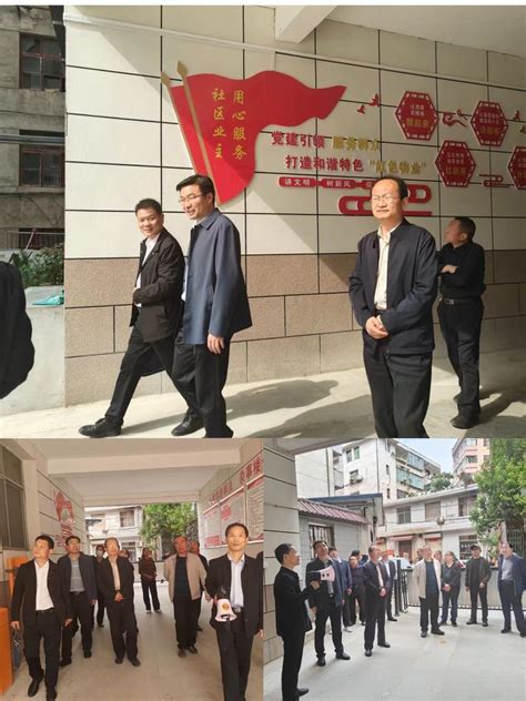 镇安县林业局成立镇安县永乐街道镇城社区第八片区联合党支部 镇安县人民政府