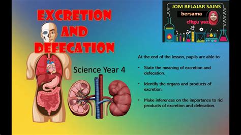Excretion And Defecation Youtube