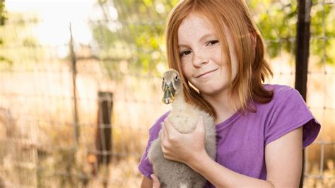 Do Ducks Make Good Pets Pros And Cons And How To Care For Them
