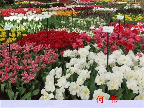 地球上生命的起源word文档在线阅读与下载无忧文档