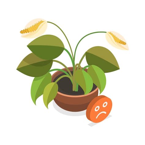 Premium Vector D Isometric Flat Vector Illustration Of Dying Plant