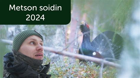 Metson soidin 2024 ensimmäinen yö YouTube