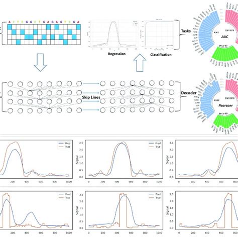Schematic Overview Of Fcnsignal Framework A Fcnsignal Is Mainly