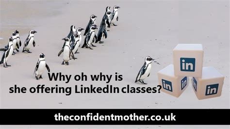 What On Earth Is She Doing Offering Linkedin Classes