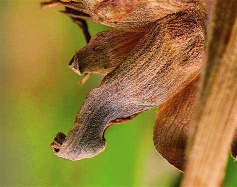 Dry Power Photograph by Alida M Haslett - Fine Art America