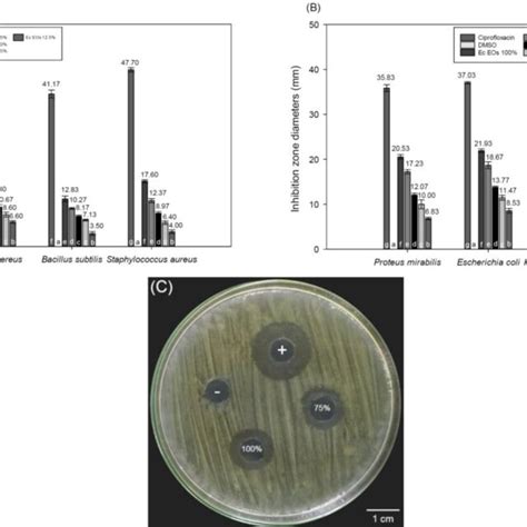 Inhibition Zone Diameters Mm Of Esholtzia Ciliata Essential Oil