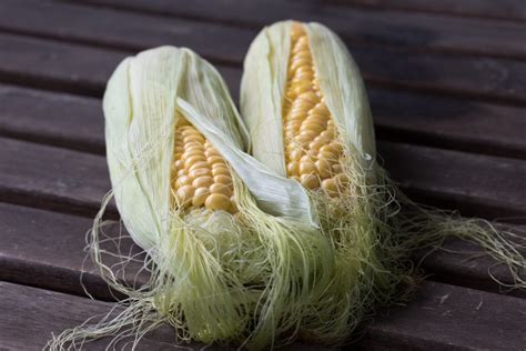 Resep Corn Ribs Camilan Jagung Viral