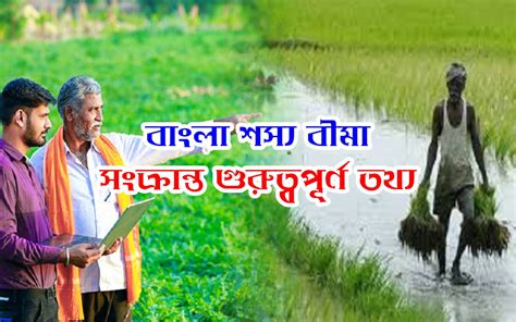 Bangla Sashya Bima Yojana 2021 দেখে নিন বাংলা শস্য বীমা যোজনা আবেদন করার নিয়ম
