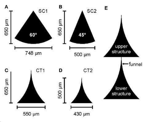 Sketch Of The Different Designs Of The Tested Structures A B A Download Scientific Diagram