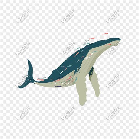 벡터 고래 만화 요소 Png 일러스트 무료 다운로드 Lovepik