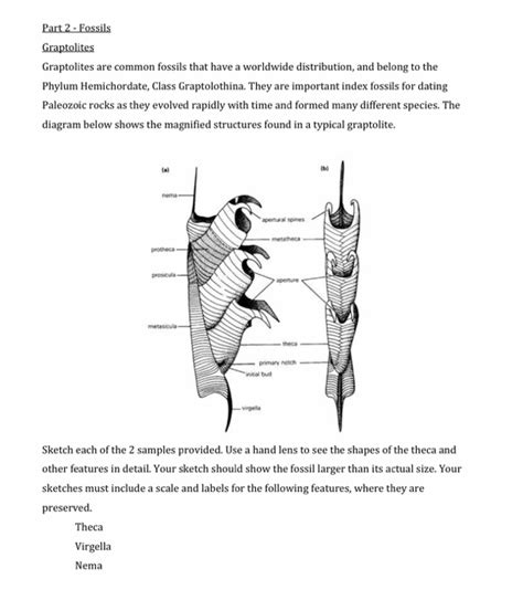 Solved Help With Sketch When It Says Sketch One Of The Chegg