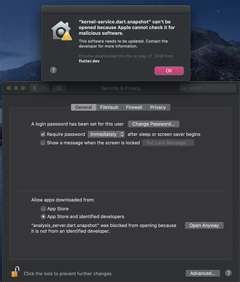 can t open dart extension in vs code after upgrading to macos catalina
