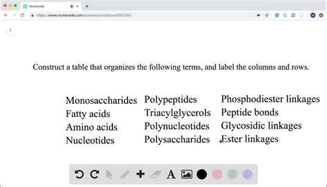 Solvedconstruct A Table That Organizes The Following Terms And Label