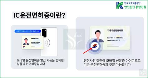 모바일 Ic 운전면허증 영문 운전면허증 발급 방법 비용 갱신 재발급 Qr발급