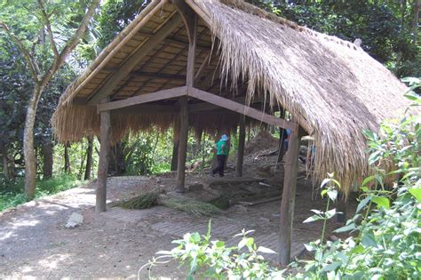 Adventures In Sustainability Making Cogon Grass Roofing