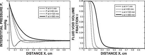 Interstitial Hydrostatic Pressure P Left And Interstitial Fluid