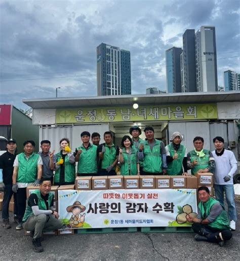 파주시대 파주 지역 인터넷신문 사회 정치 문화 교육 스포츠 기사 제공